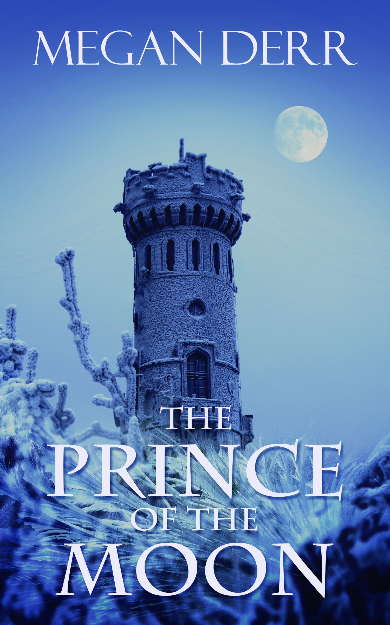 The Prince of the Moon by Megan Derr | Readersvibe
