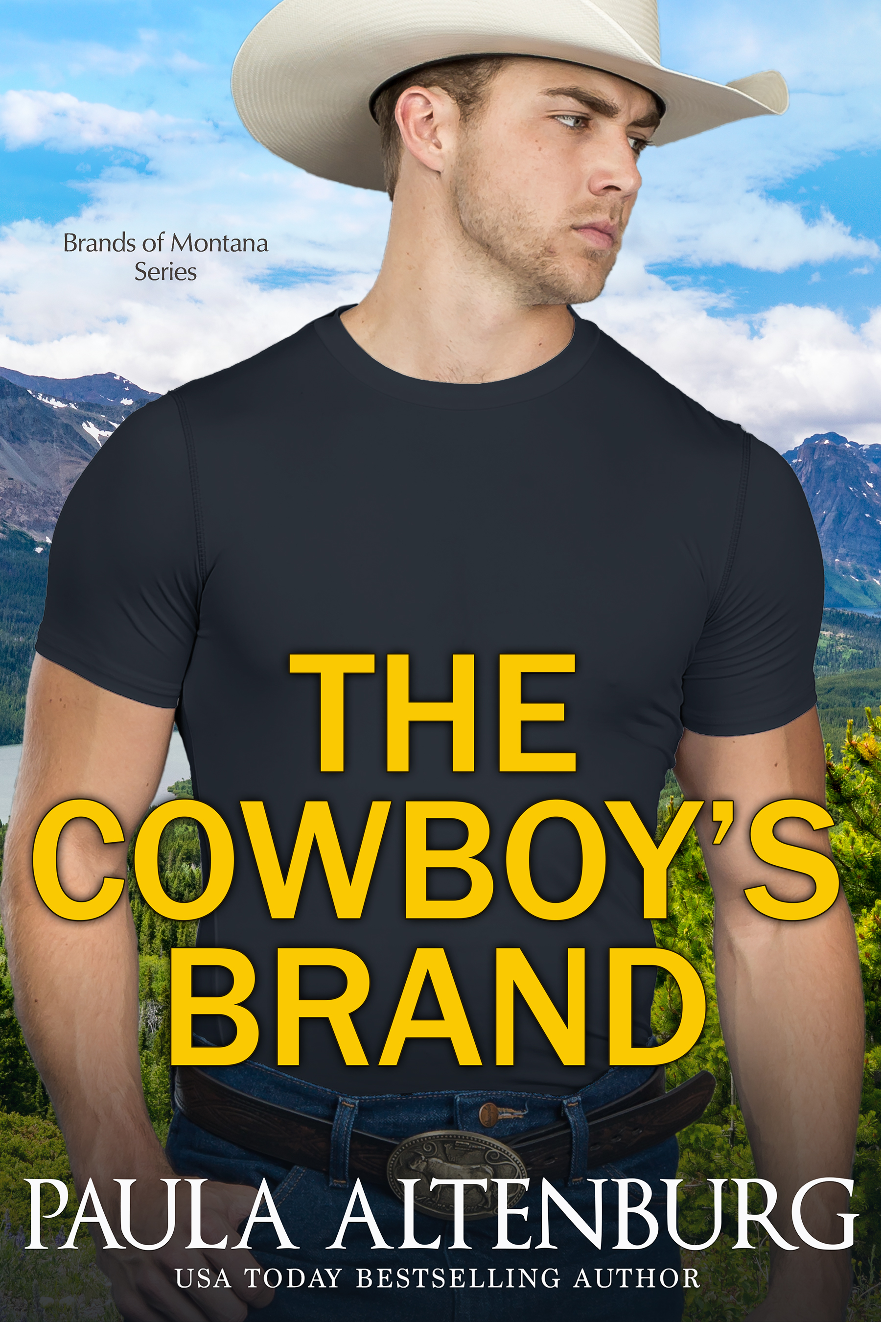The Cowboy's Brand by Paula Altenburg | Readersvibe